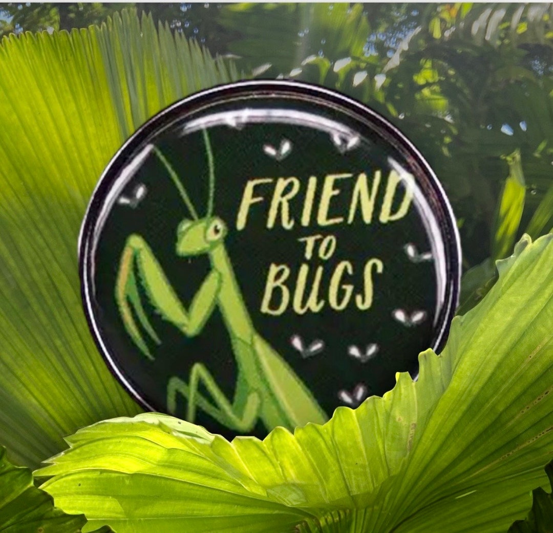 Friend to Bugs Pin, Praying Mantis Pin, - Etsy