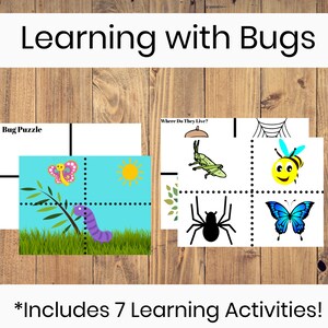 Color, Sorting, Learning With Bugs Game, Printable Toddler Preschool ...