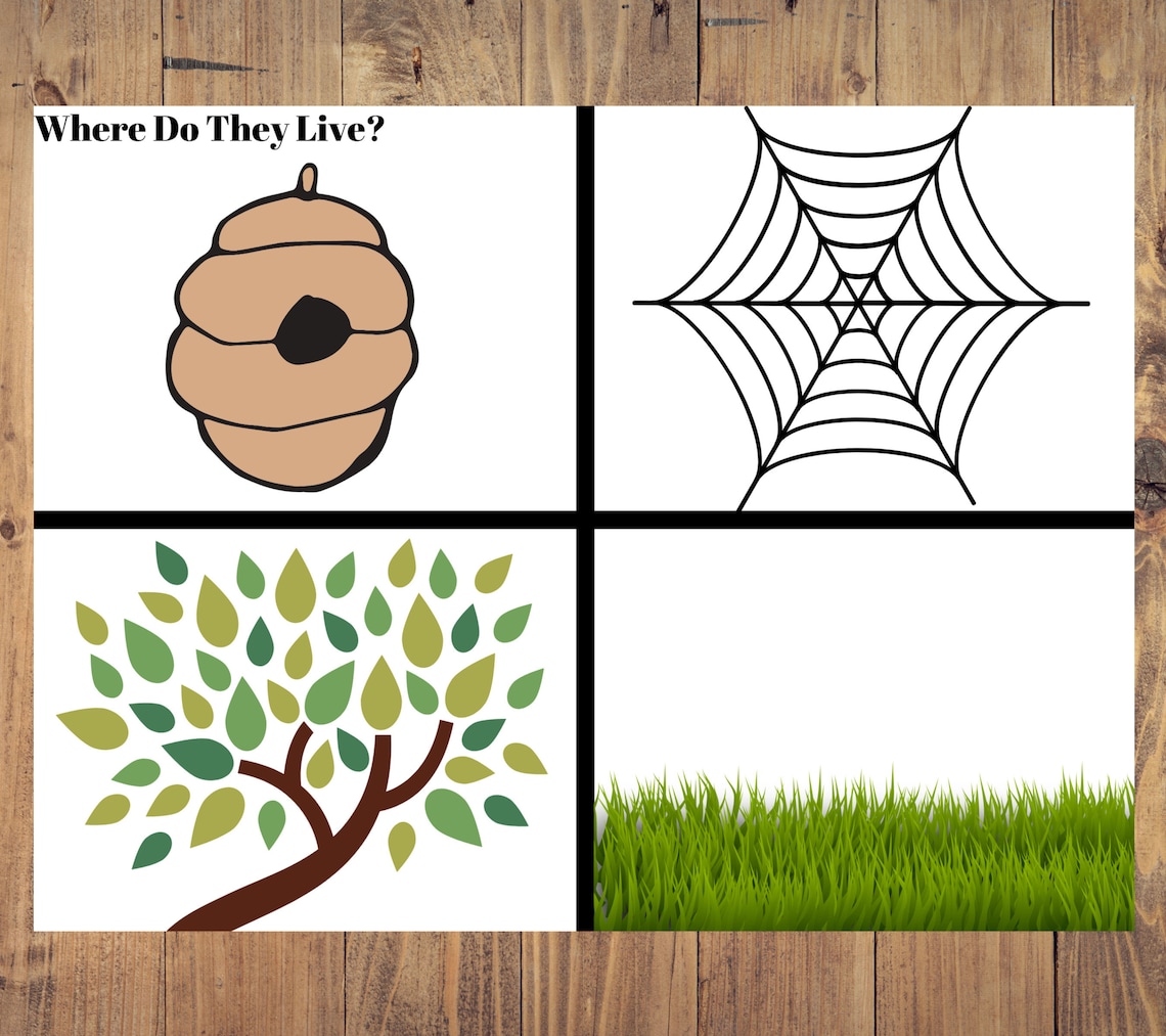 Color, Sorting, Learning With Bugs Game, Printable Toddler Preschool ...