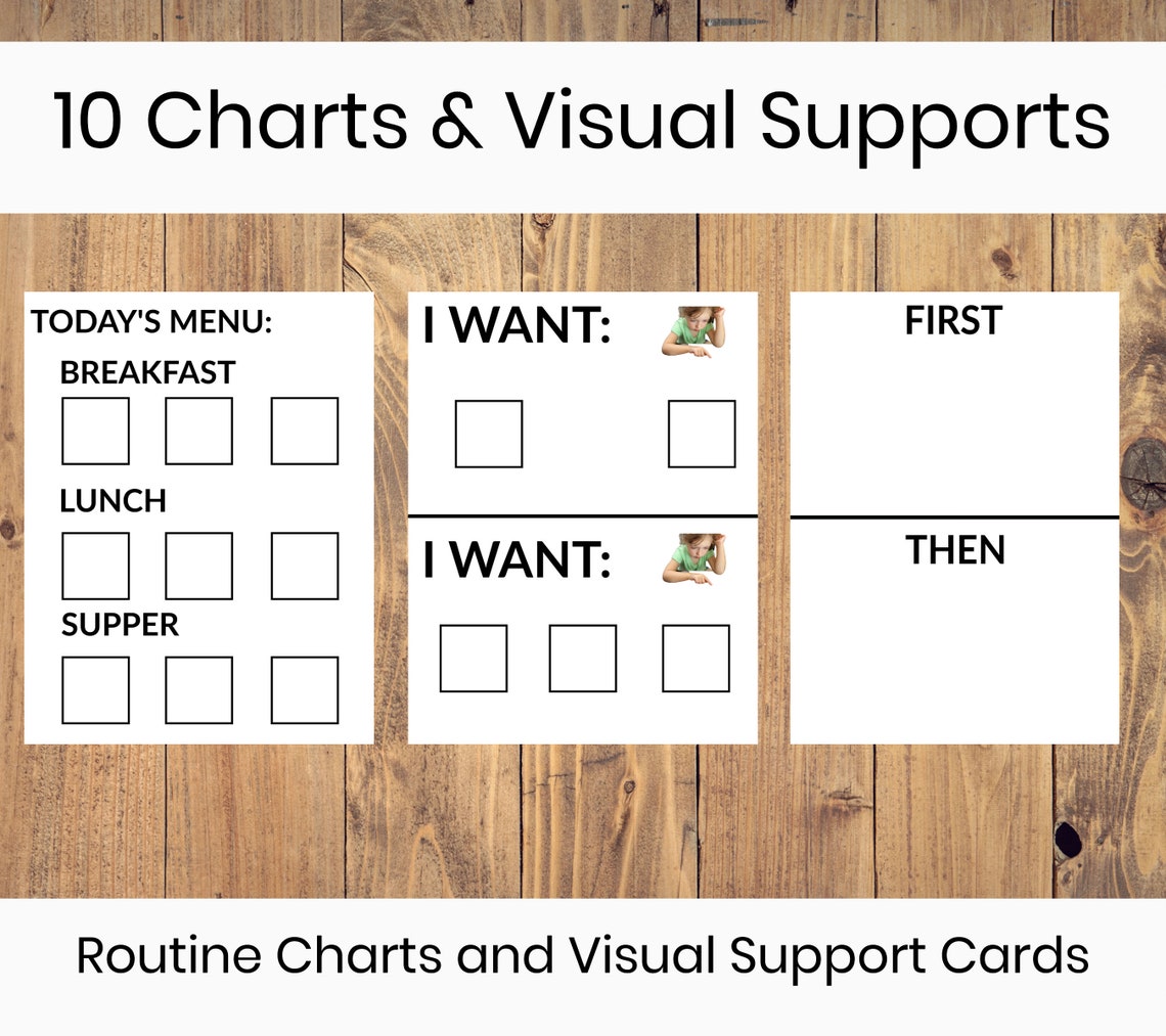 Toddler Preschool Visual Support Kit/ 100 Vocabulary Cards/ Charts ...
