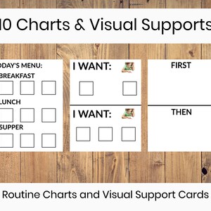 Toddler Preschool Visual Support Kit/ 100 Vocabulary Cards/ Charts ...