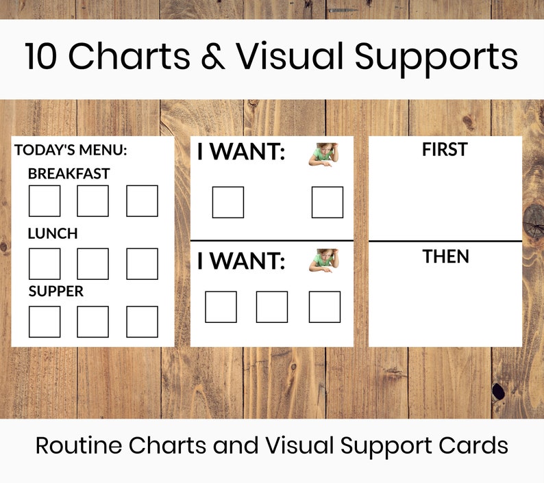Toddler Preschool Visual Support Kit/ 100 Vocabulary Cards/ Charts ...