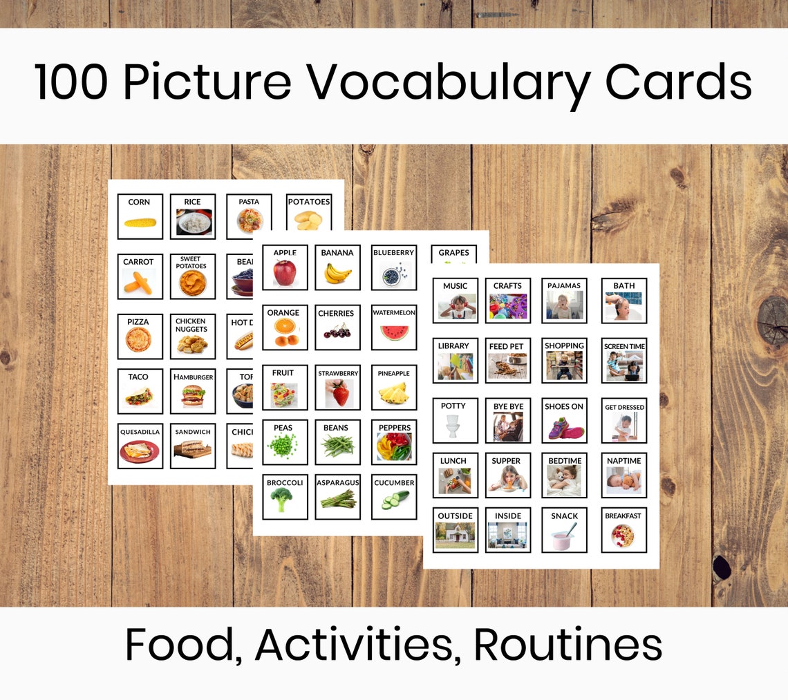 Toddler Preschool Visual Support Kit/ 100 Vocabulary Cards/ Charts ...