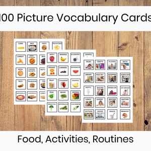 Toddler Preschool Visual Support Kit/ 100 Vocabulary Cards/ Charts ...