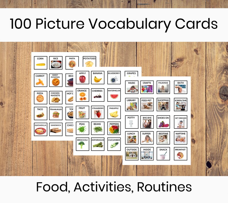 Toddler Preschool Visual Support Kit/ 100 Vocabulary Cards/ Charts ...