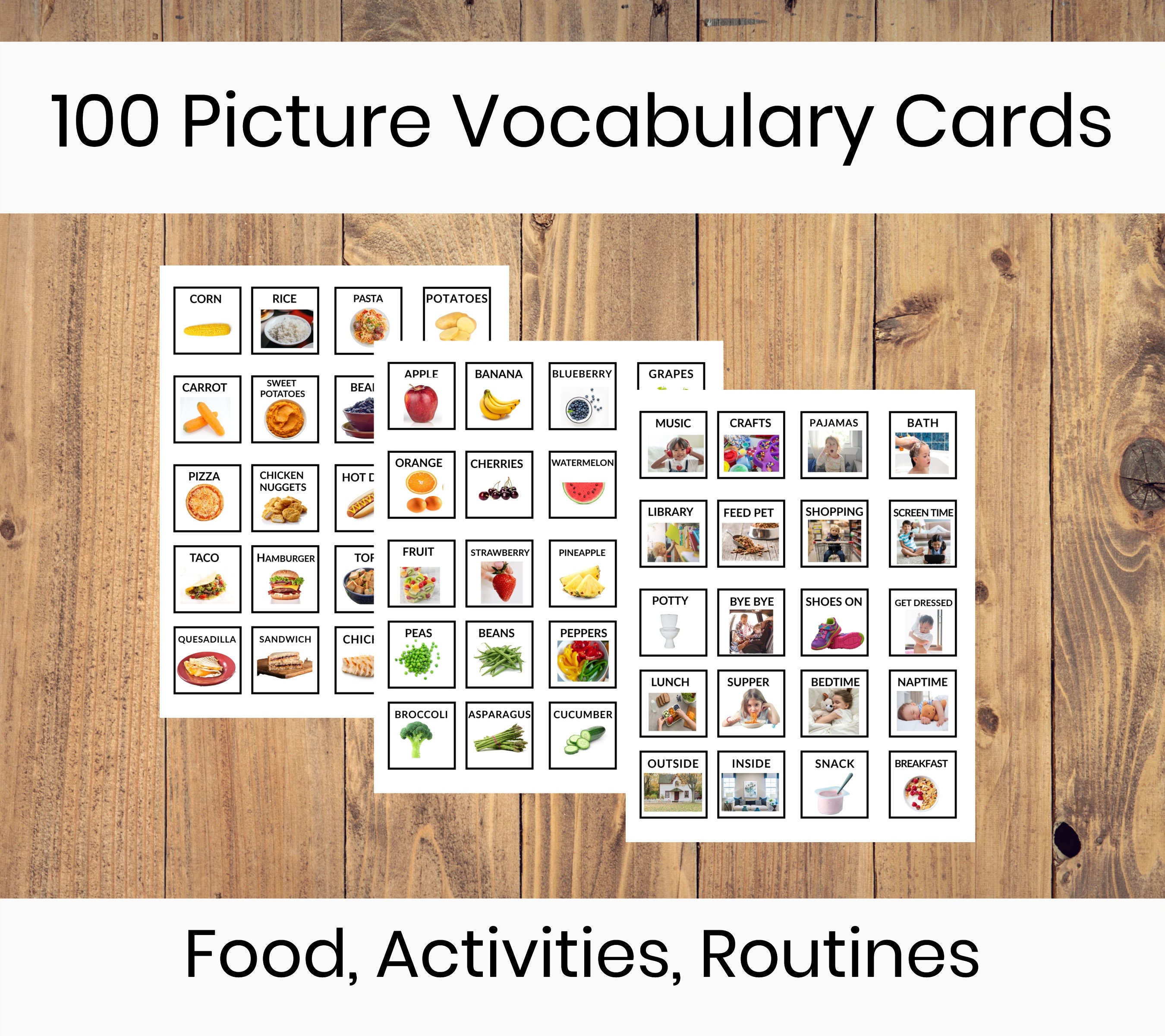 Toddler Preschool Visual Support Kit/ 100 Vocabulary Cards/ Charts ...