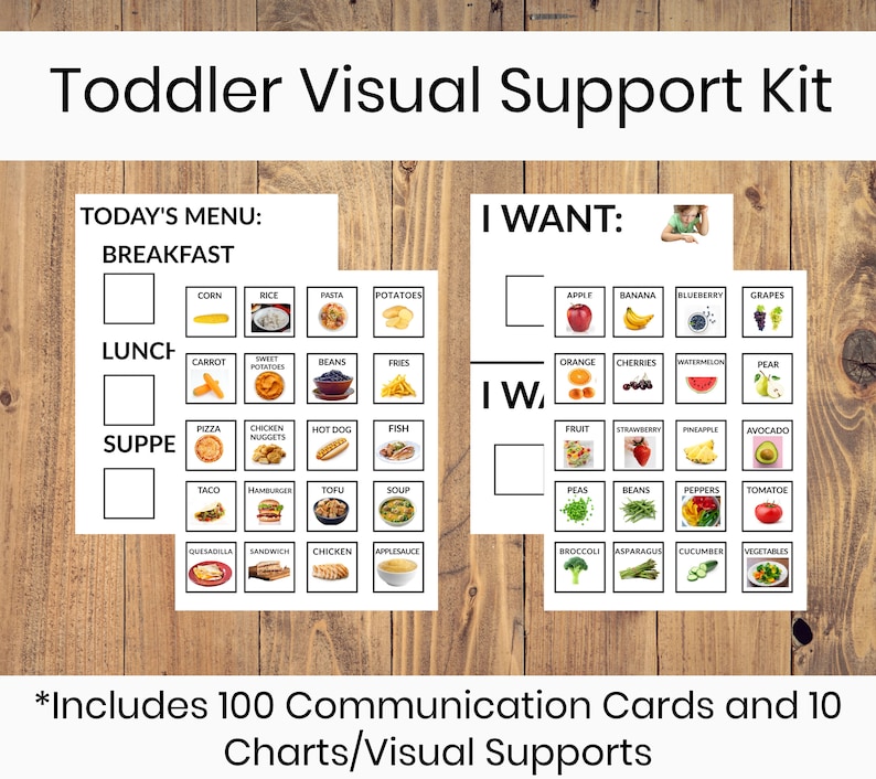 Toddler Preschool Visual Support Kit/ 100 Vocabulary Cards/ Charts ...