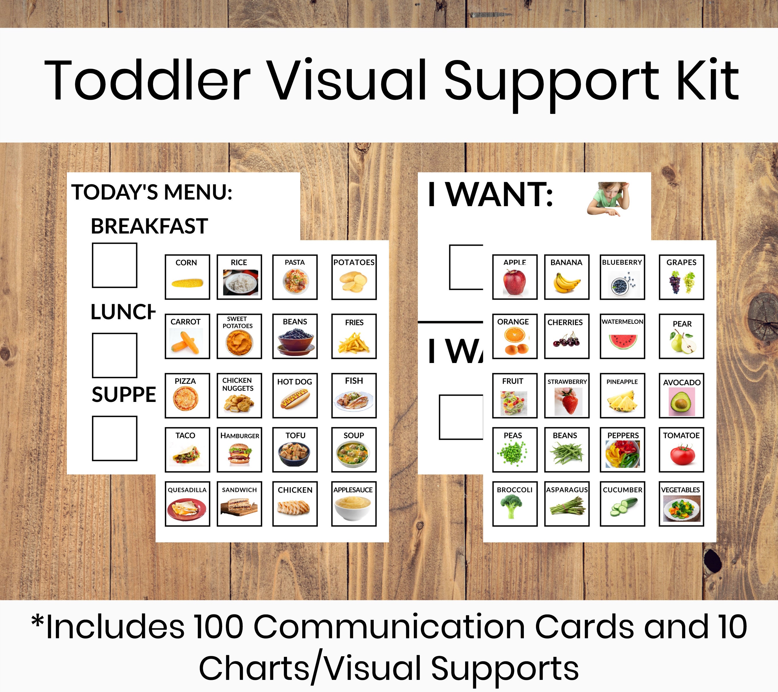 Toddler Preschool Visual Support Kit/ 100 Vocabulary Cards/ Charts ...