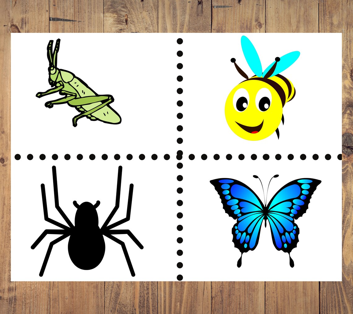 Color, Sorting, Learning With Bugs Game, Printable Toddler Preschool ...