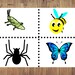 Color, Sorting, Learning With Bugs Game, Printable Toddler Preschool ...