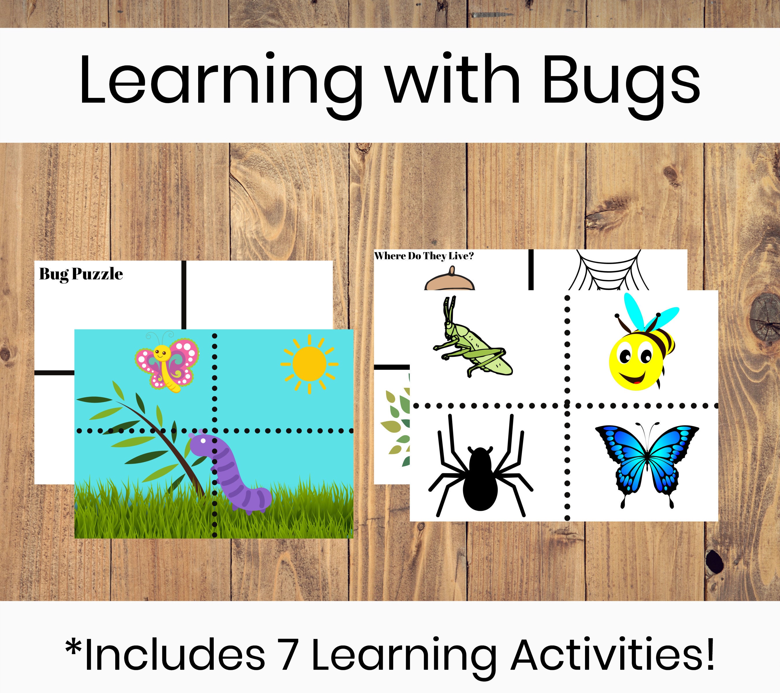 Color, Sorting, Learning With Bugs Game, Printable Toddler Preschool ...