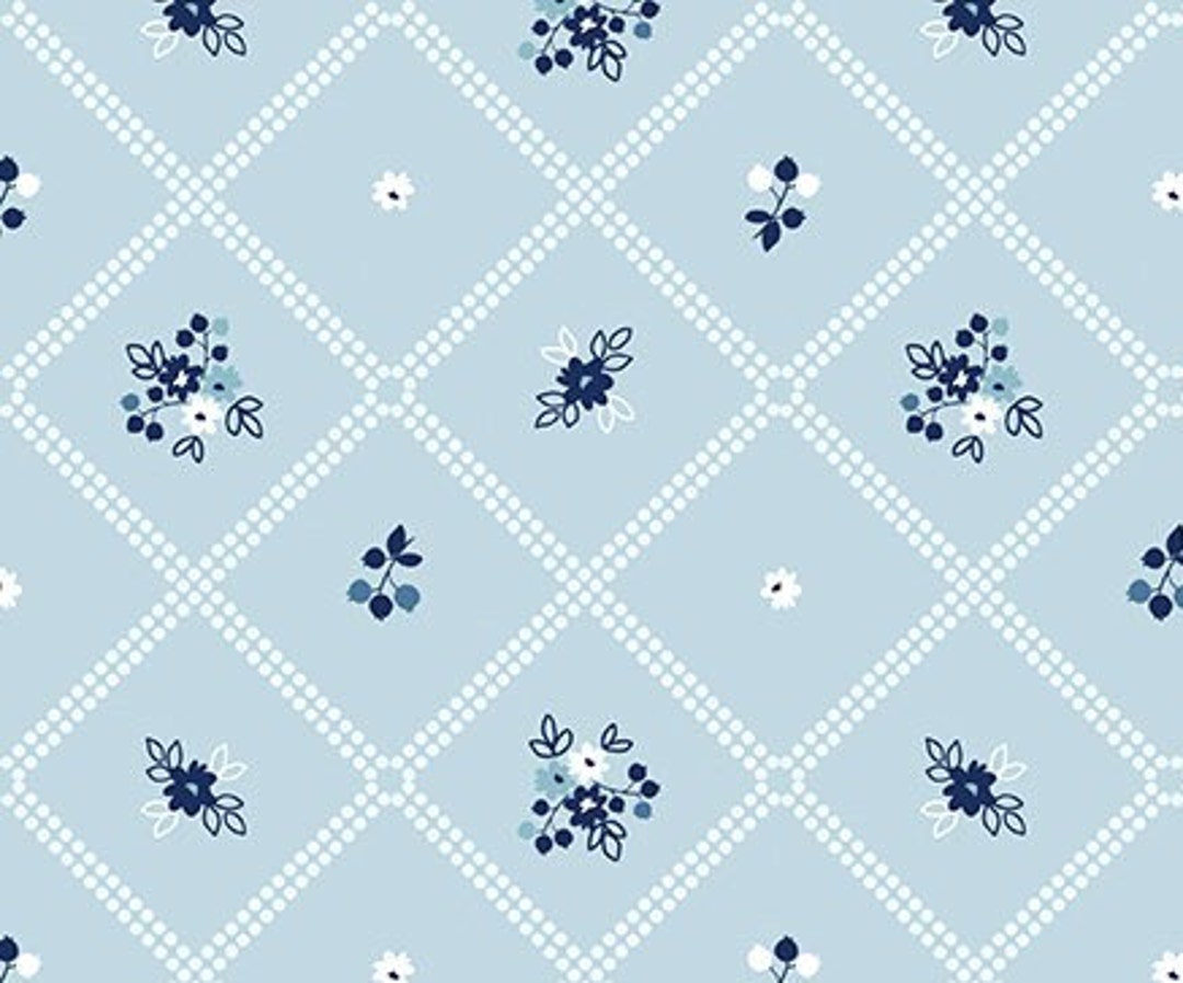 Simply Country Dot Grid Blue by Tasha Noel for Riley Blake Designs, 1/2 ...