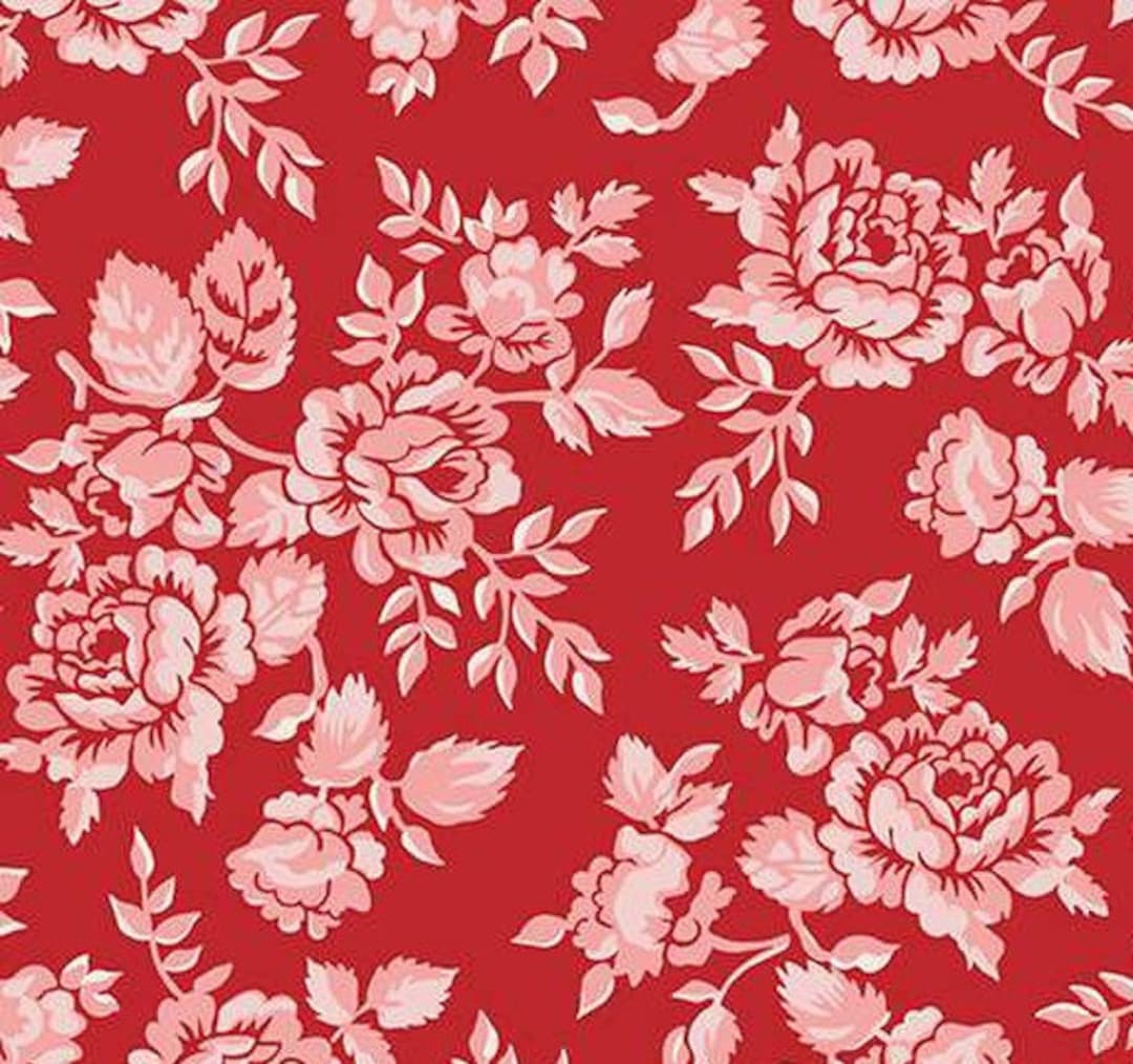 Home Town Parry Schoolhouse Red by Lori Holt for Riley Blake, 1/2 Yard ...