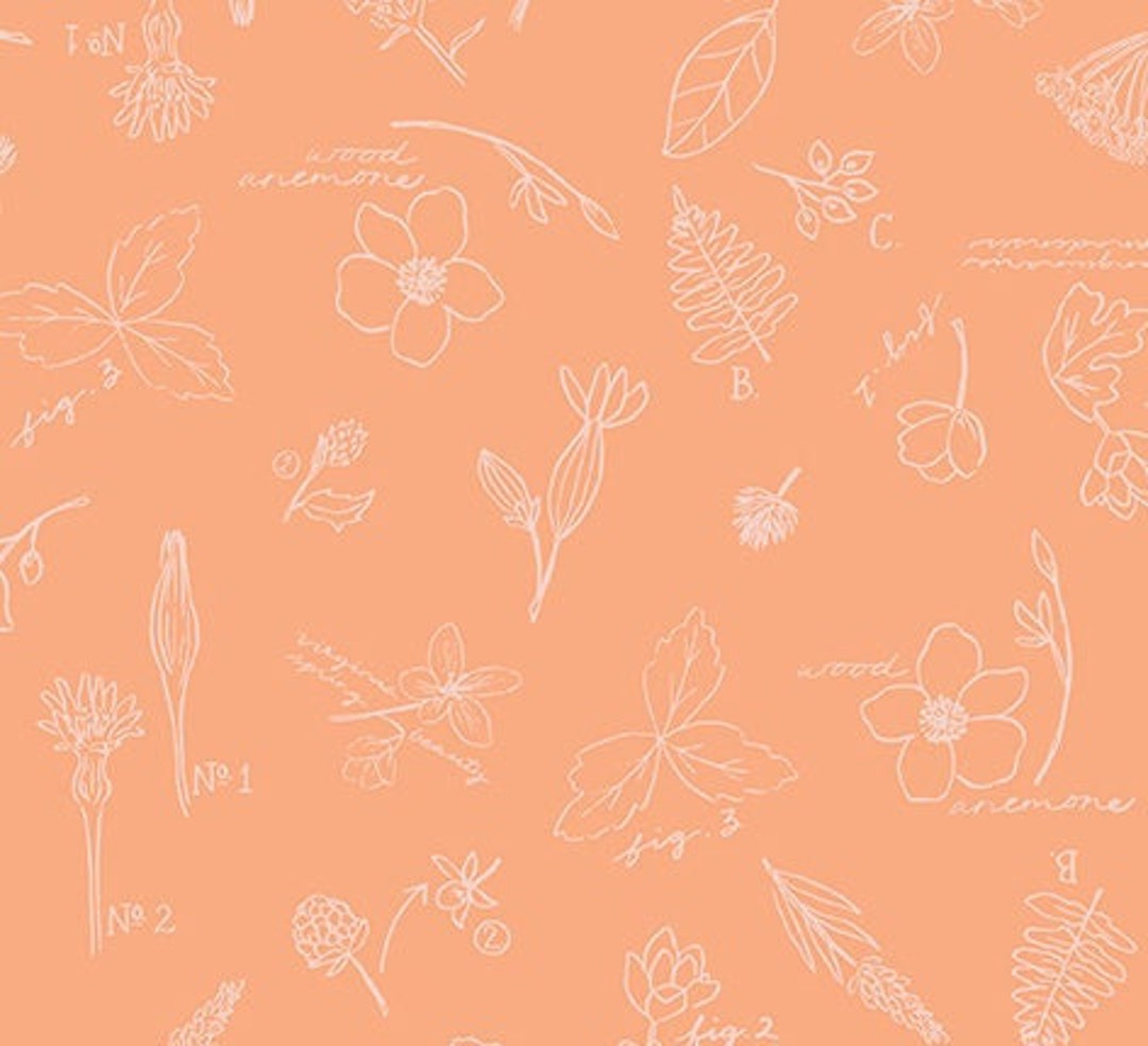 Wildwood Wander Sketchbook Peach by Katherine Lenius for Riley Blake Designs, 1/2 Yard - Cut ...