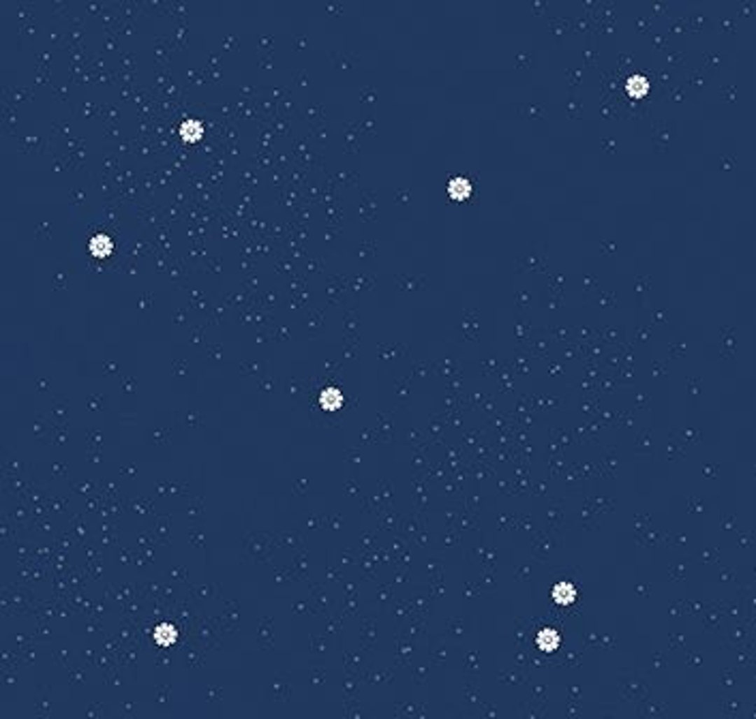 Dainty Daisy Navy by Beverly Mccullough for Riley Blake Designs, 1/2 ...