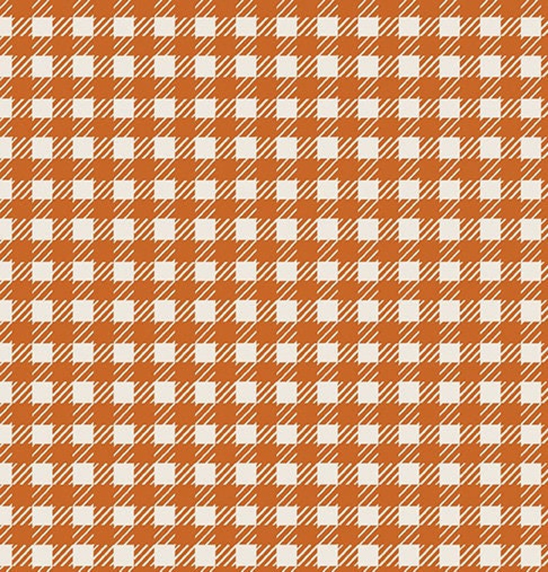 Forgotten Memories Gingham by Minki Kim for Riley Blake, 1/2 Yard - Cut ...