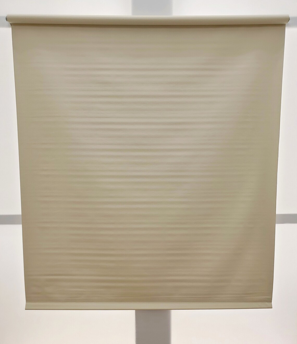 Room Darkening Vinyl Roller Shade Custom Cut to Order With Scallop and ...