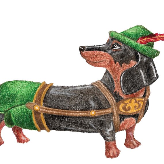 German Wiener Dog