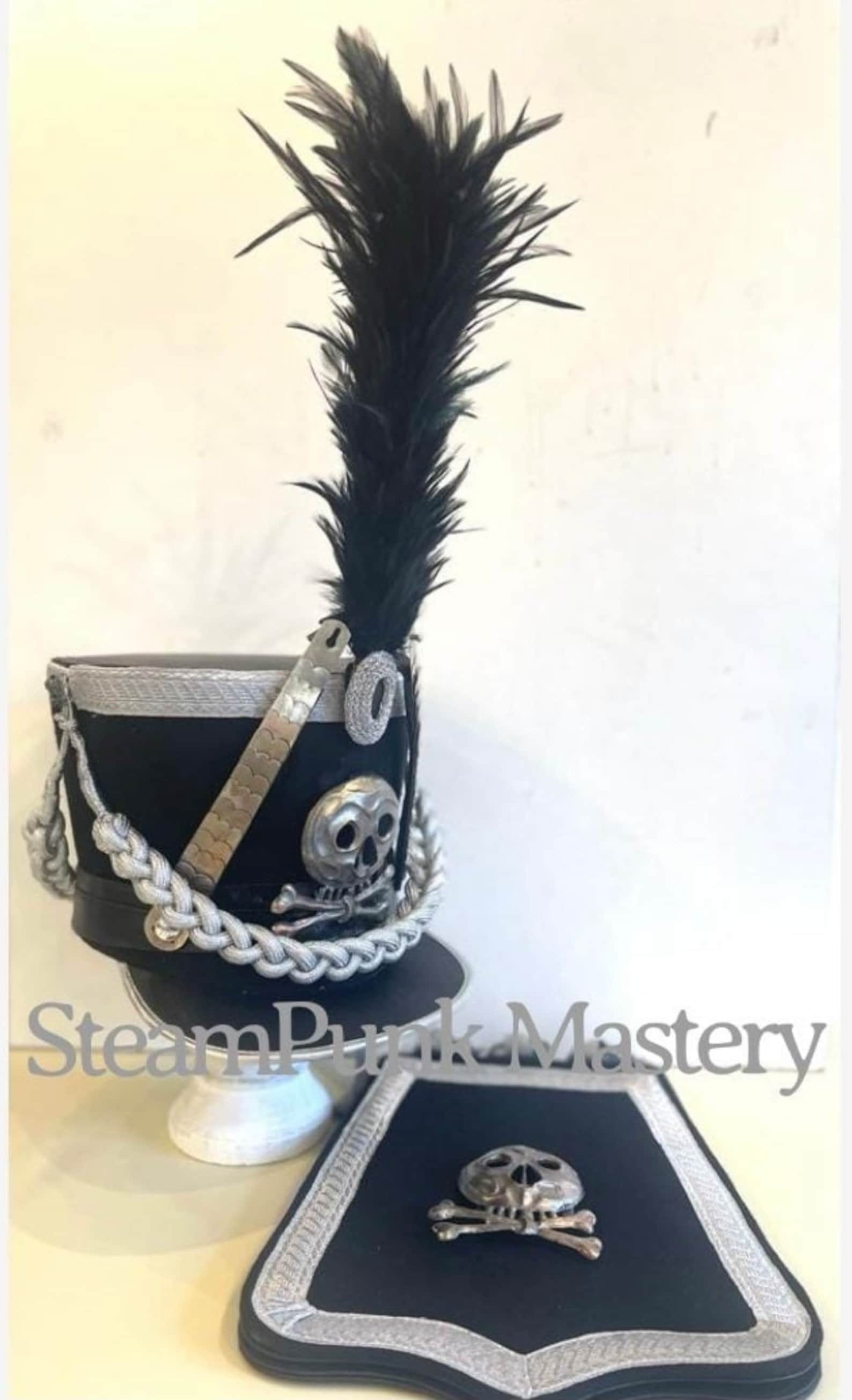 Brunswick Hussar Helmet & Sabretache Set: Silver Bullion, Black Feather ...