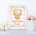 MINNIE MOUSE WELCOME Sign, Birthday Party Minnie Mouse Welcome Poster ...