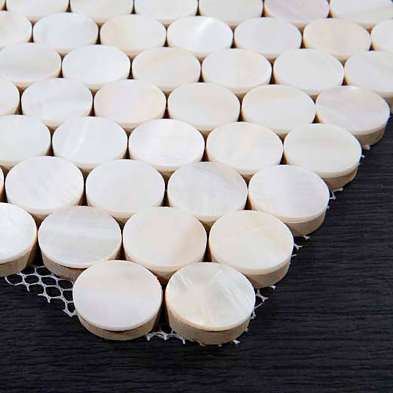 11 PCS 8mm Thickness Penny Round Freshwater Shell Mosaic White - Etsy