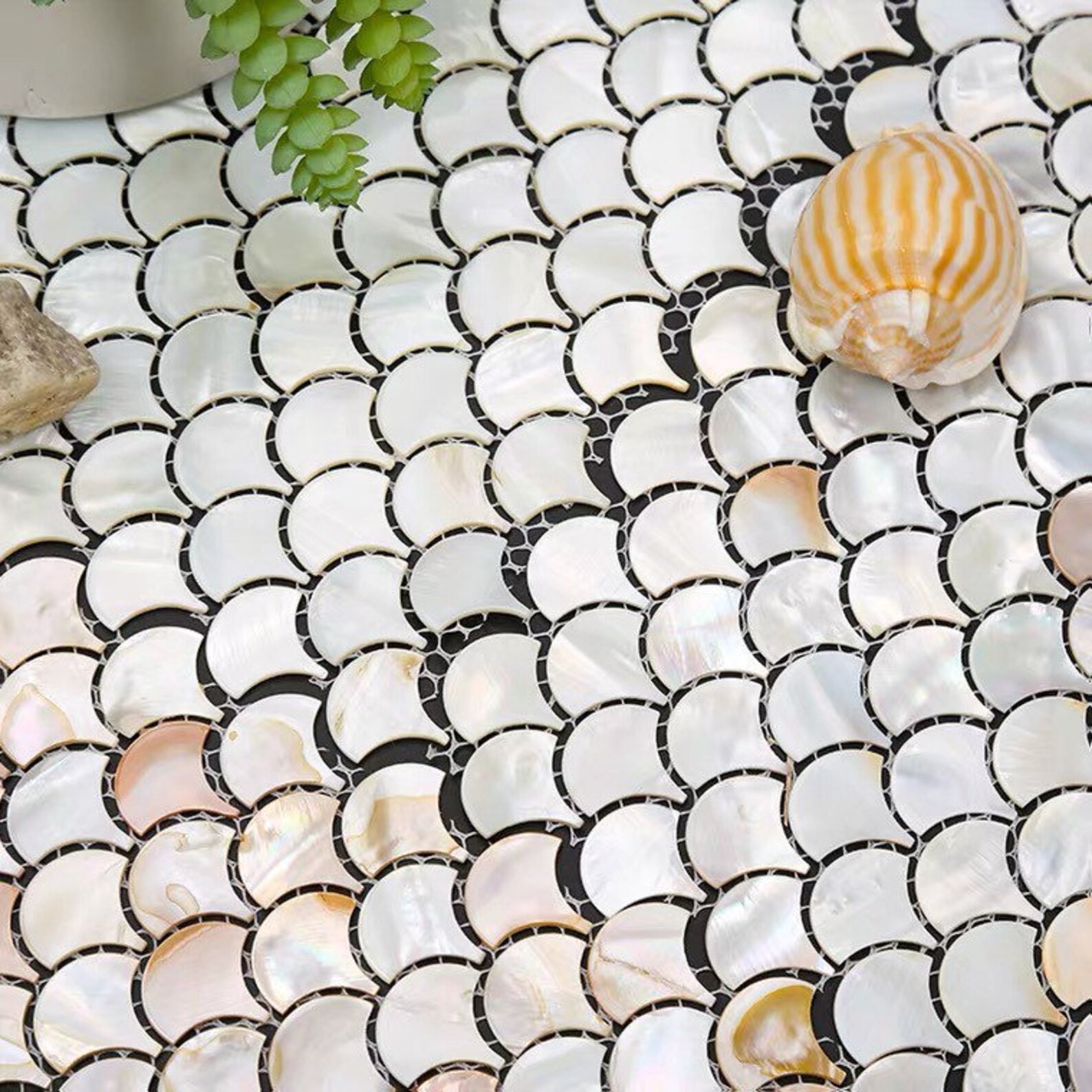 Fish Scale Shell Mosaic Tile Nature White Mother of Pearl - Etsy