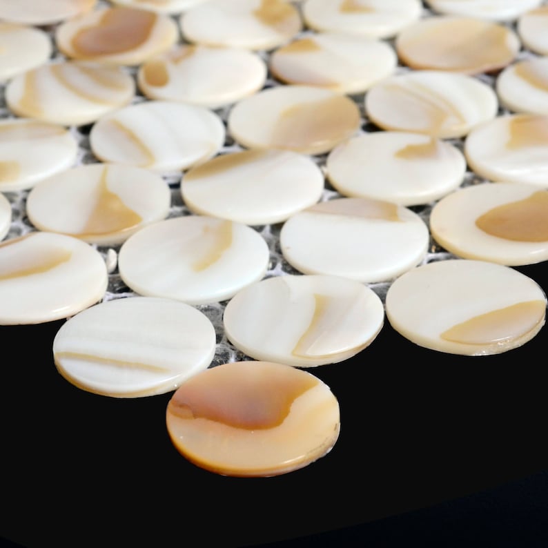 Penny Round Shell Mosaic Wall Tile Backsplash Mother of Pearl - Etsy