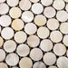 2mm Penny Round White Sea Shell Pearl Kitchen Backsplash Mosaic MOP020 ...
