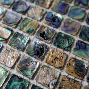 11 PCS 2mm Thickness Natural Abalone Shell Mosaic Bathroom - Etsy