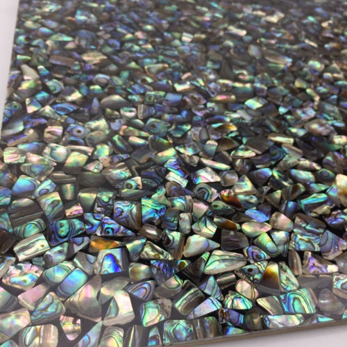 11 PCS Seamless Abalone Shell Mother of Pearl Tile Backsplash - Etsy