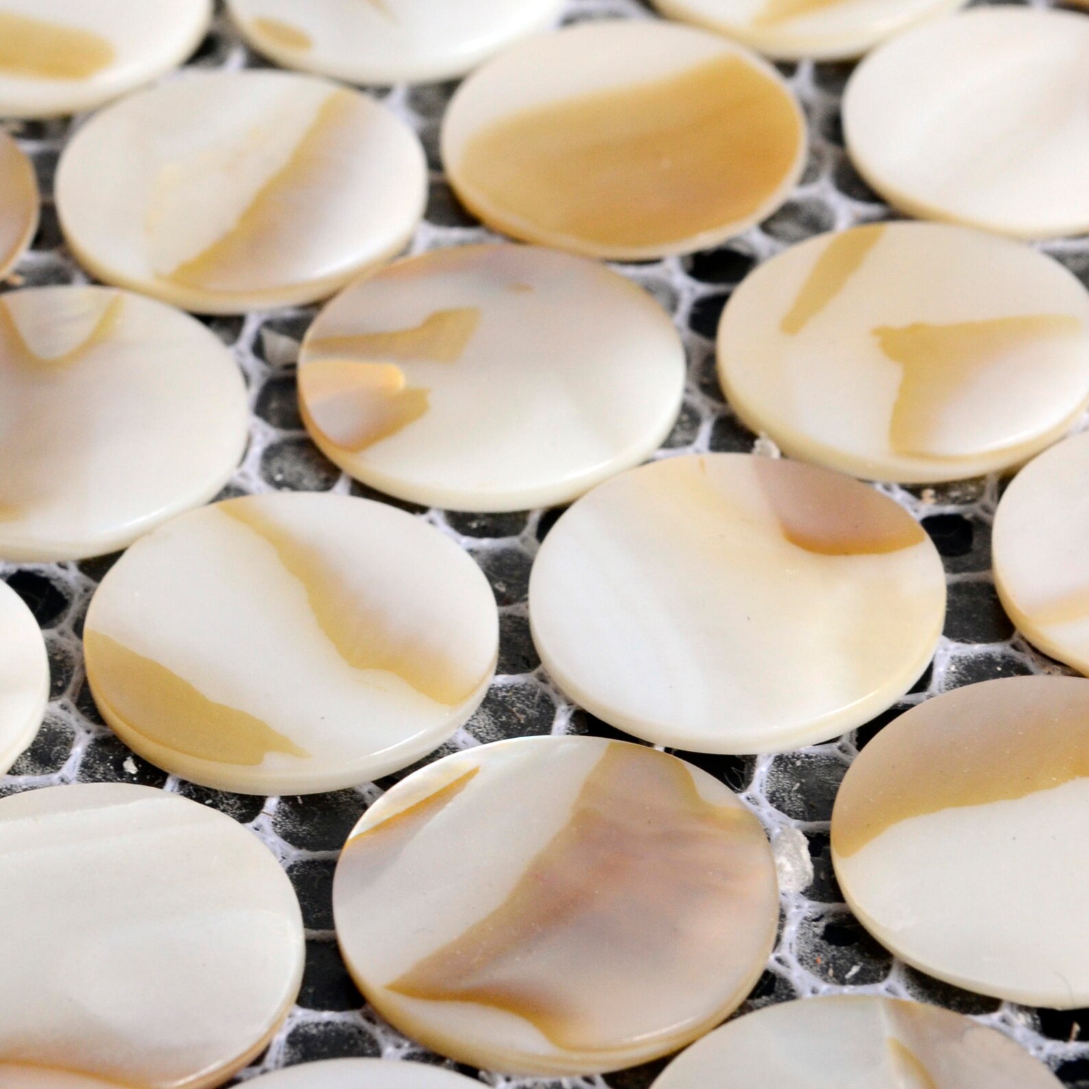 Penny Round Shell Mosaic Wall Tile Backsplash Mother of Pearl - Etsy