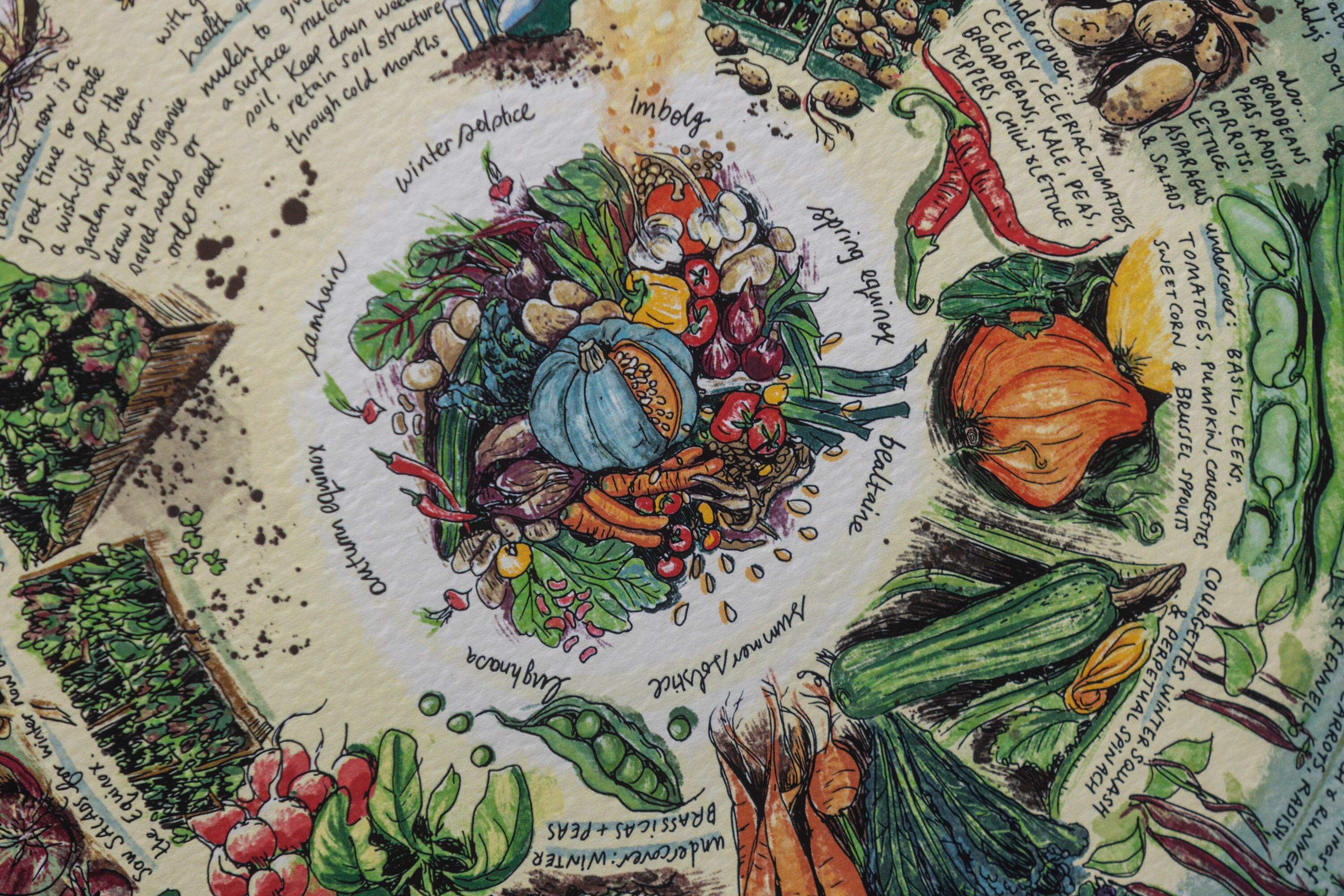 Veg Patch -what to Plant & When - 'native Circles' Limited Edition ...