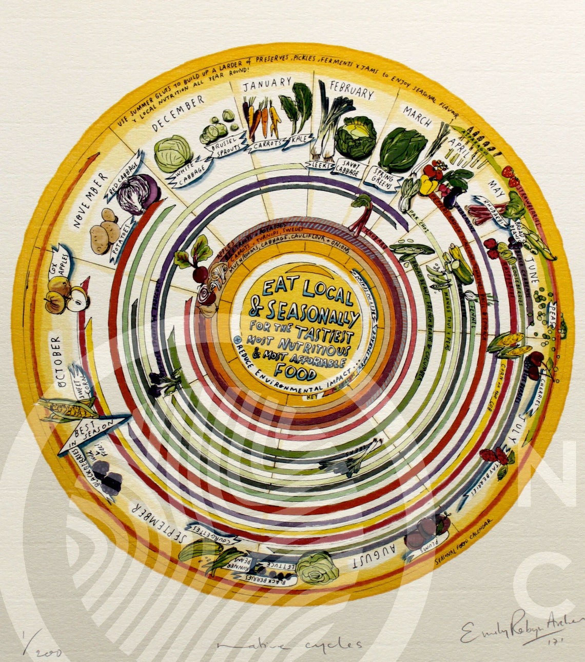 Seasonal Food Calendar Limited Edition 'native | Etsy