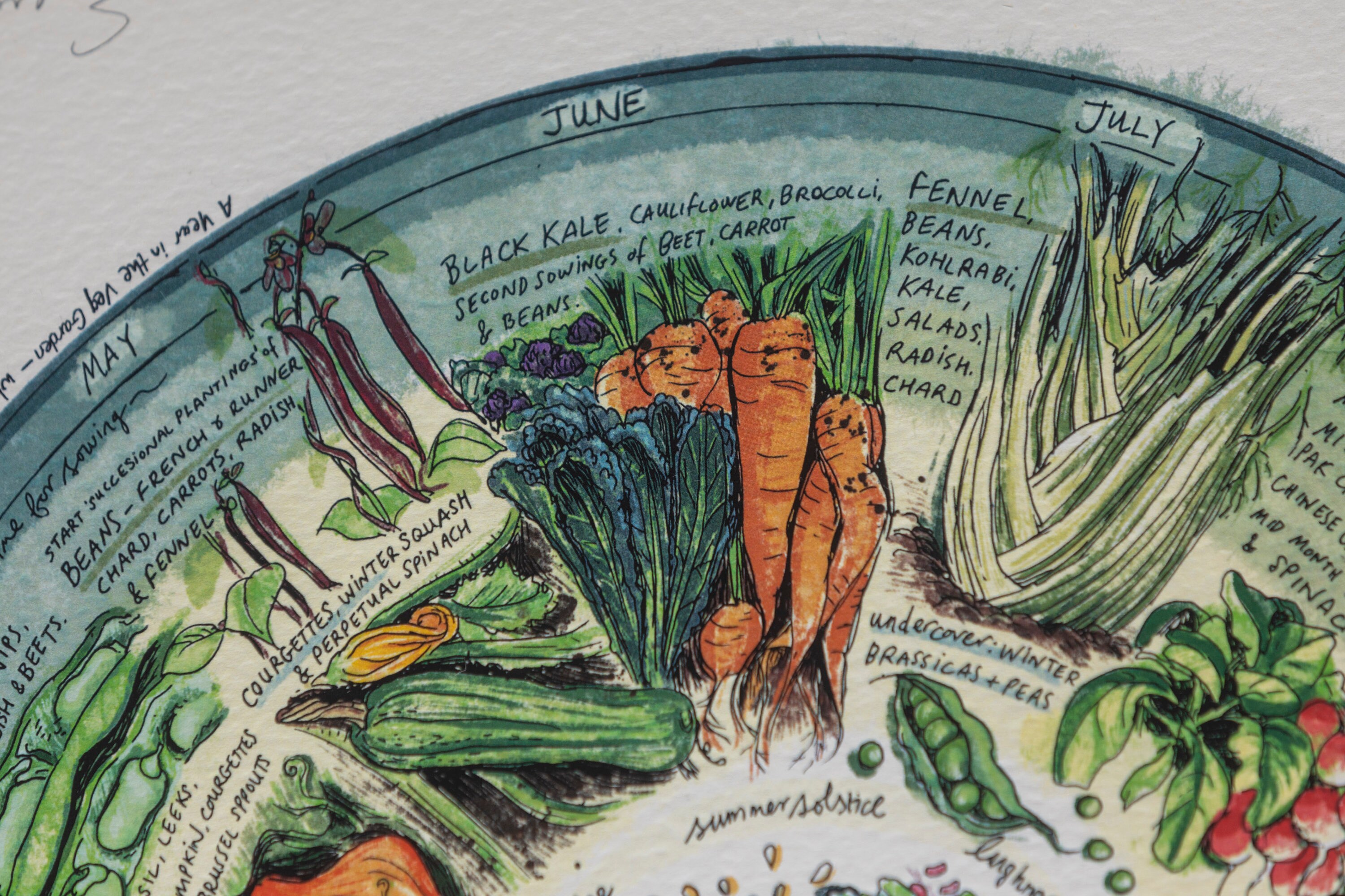 Veg Patch what to Plant & When 'native Circles' Limited Edition Print ...