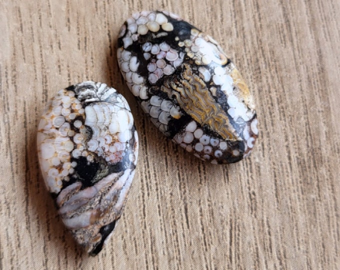 Snake Skin Agate | Snake Scale Stones | Unbacked Stones for Jewelry - Etsy