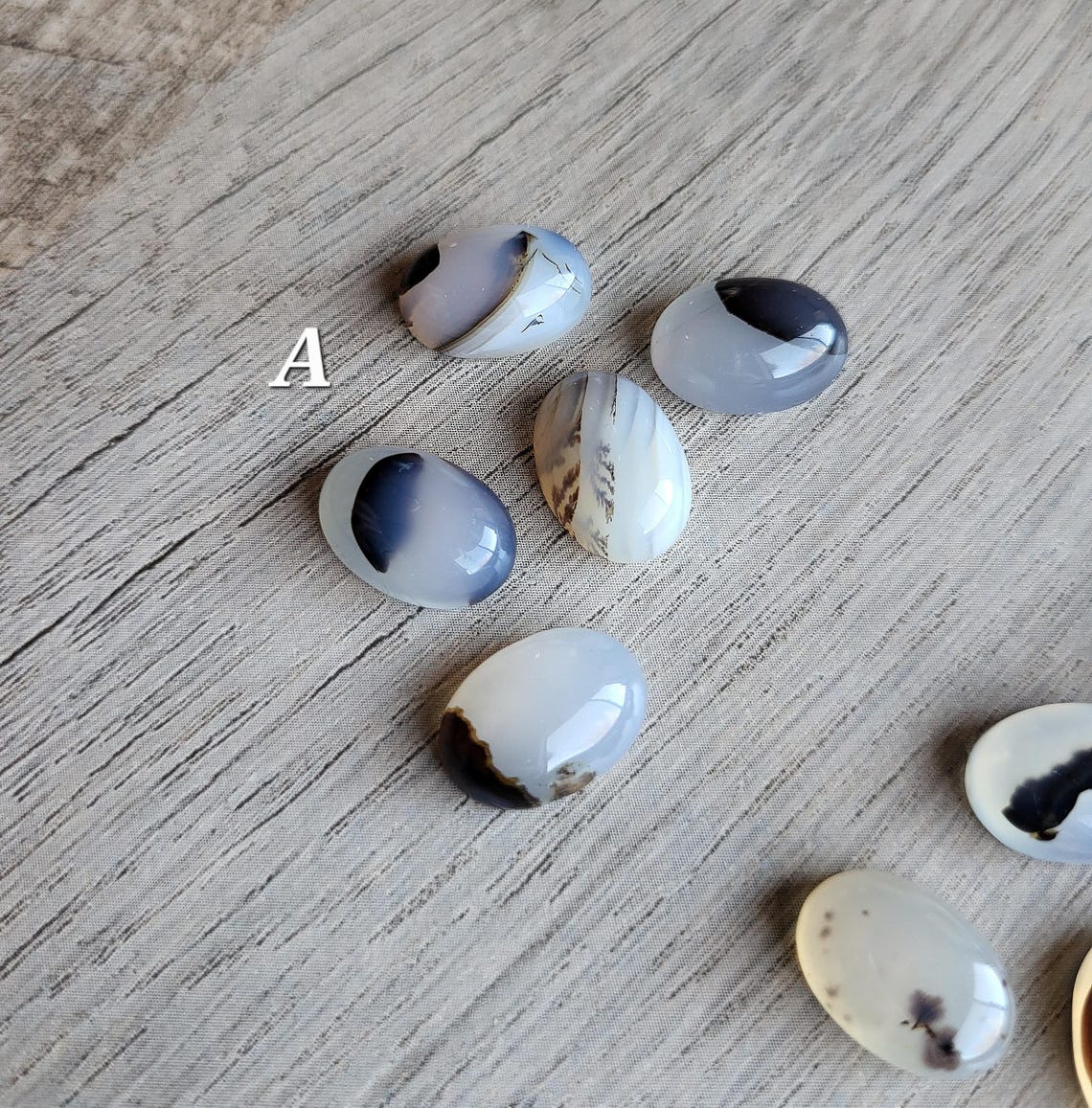 Domed Dendritic Agate, Spotted Clear Brown White Stones, Calibrated ...