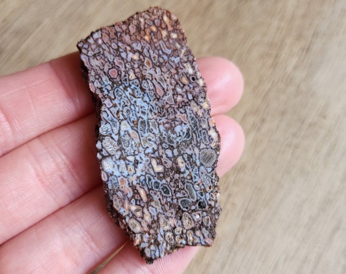 Dino Bone Slab | Fossilized Dino Bone, Dino Bone Rough, Dinosaur Bone ...