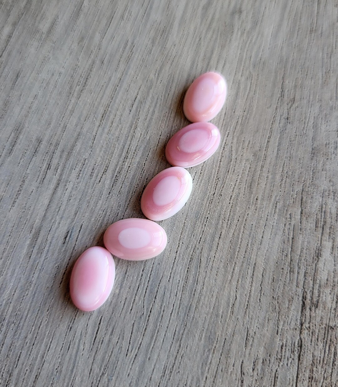 Conch Shell Cabochons, Pink Shell Cabochons, Shell Cabochon, Conch ...