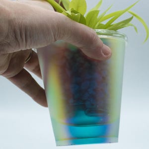 Iridescent Double Plant Pot With Optional Humidity Lid 3.5-inch Pot ...