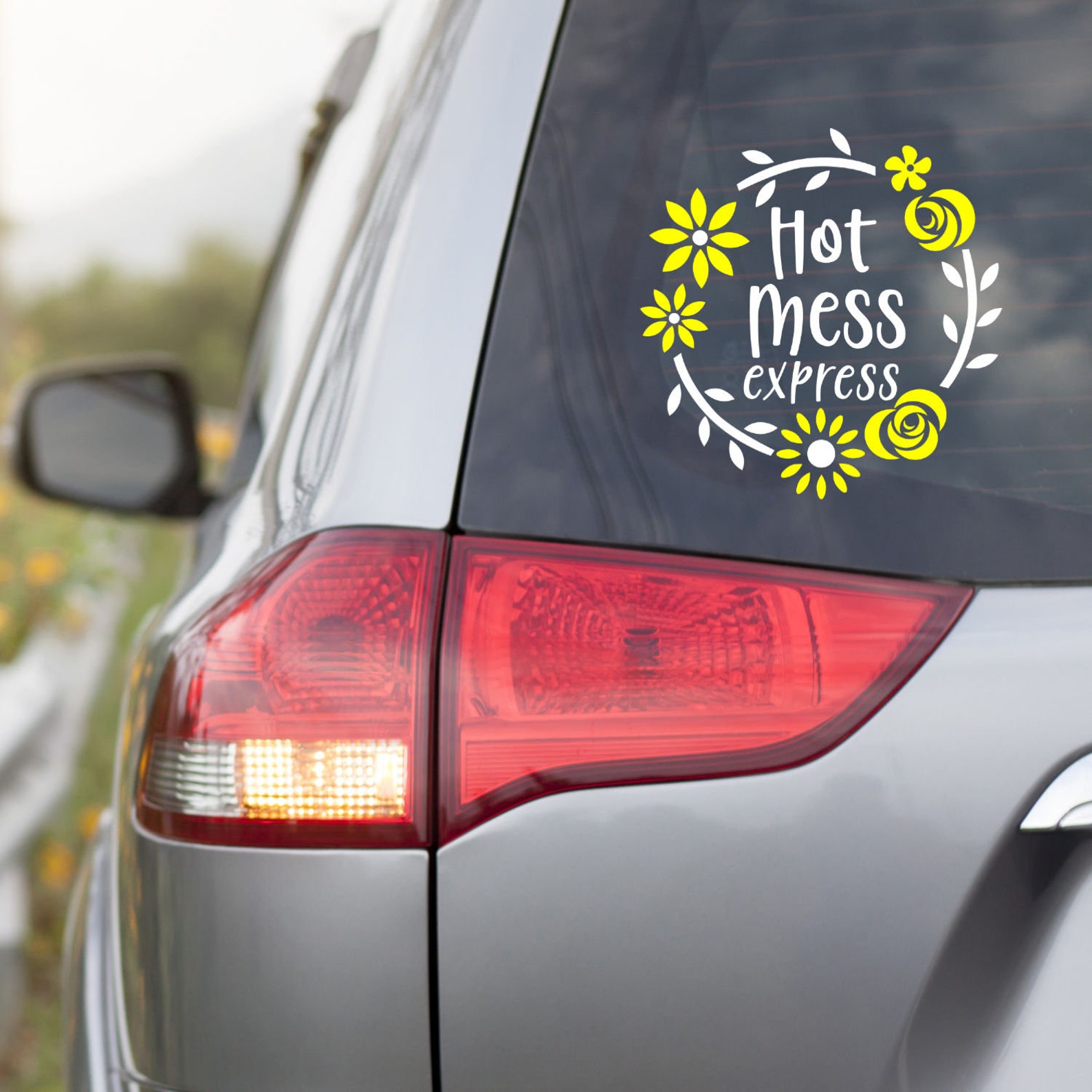 Hot Mess Express Vinyl Decal Choose Colors and Size Bumper | Etsy