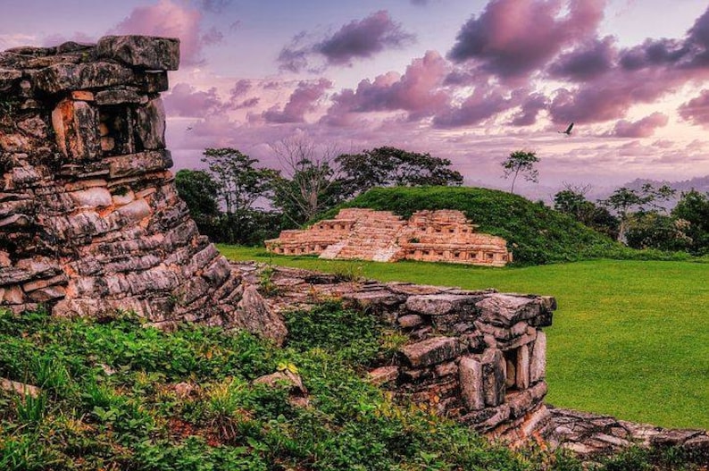 Ancestral Clearing and Psychic Reading.clear Traumatic Ancestral Karma ...