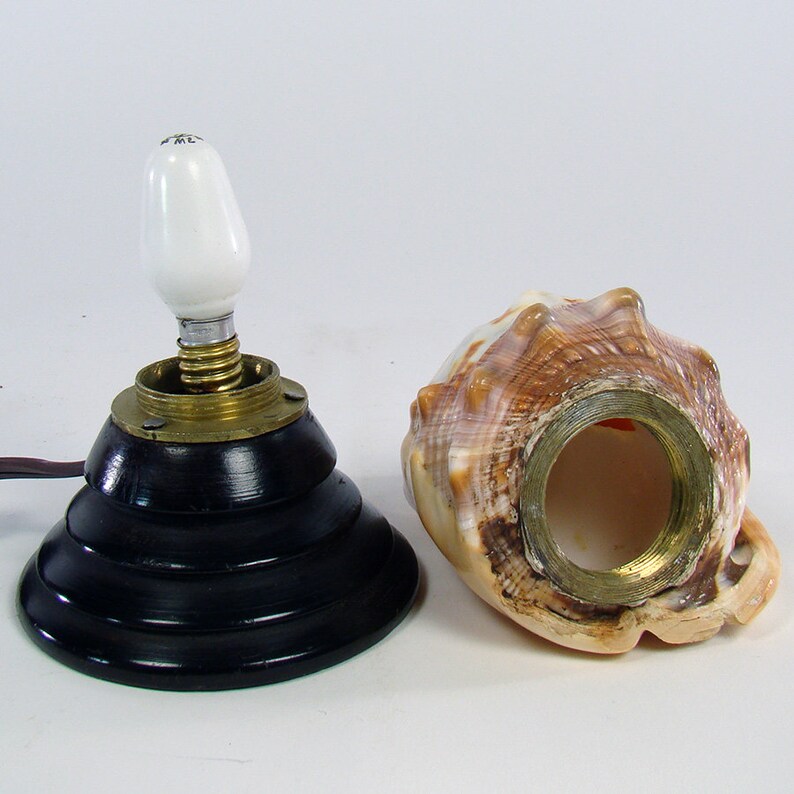 Carved Cameo Shell Accent Lamp - 1920's - 100% Original - Etsy