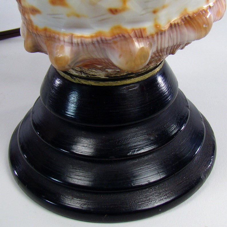 Carved Cameo Shell Accent Lamp - 1920's - 100% Original - Etsy