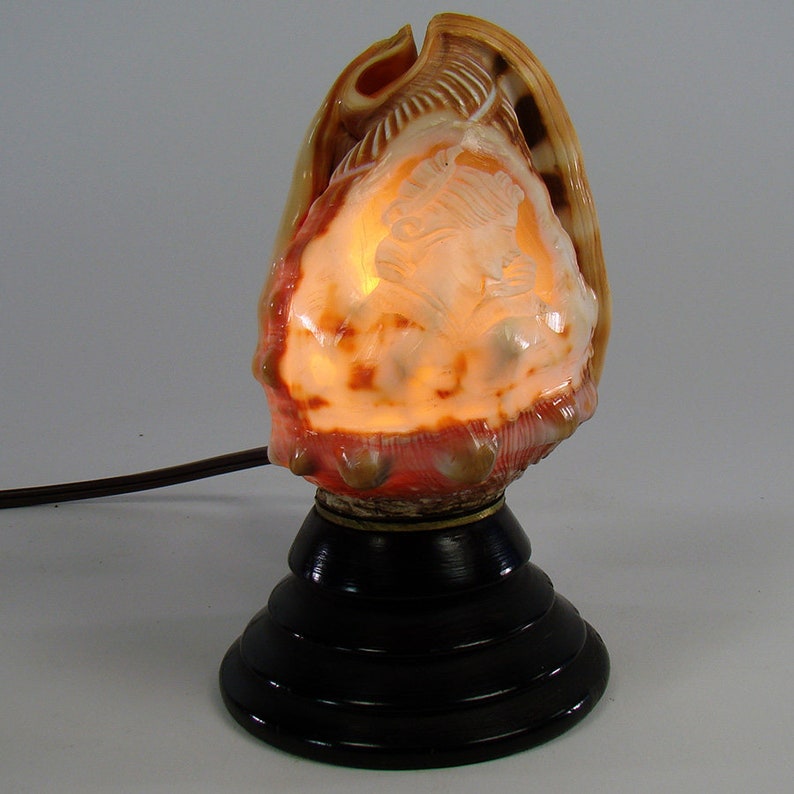 Carved Cameo Shell Accent Lamp - 1920's - 100% Original - Etsy