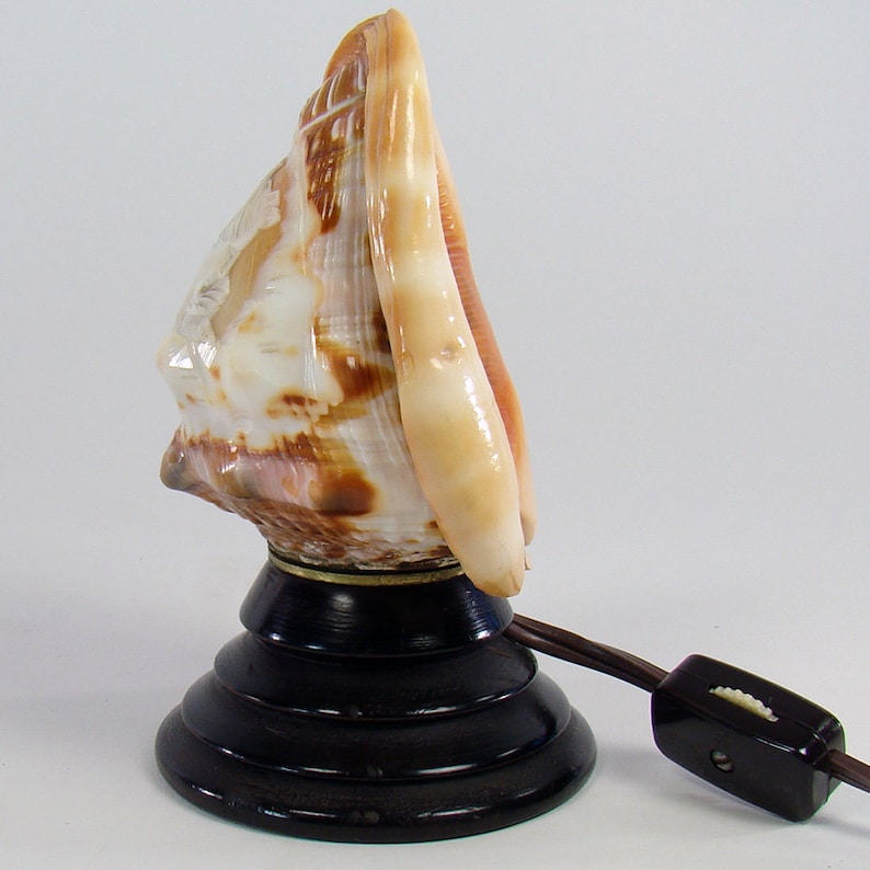 Carved Cameo Shell Accent Lamp - 1920's - 100% Original - Etsy