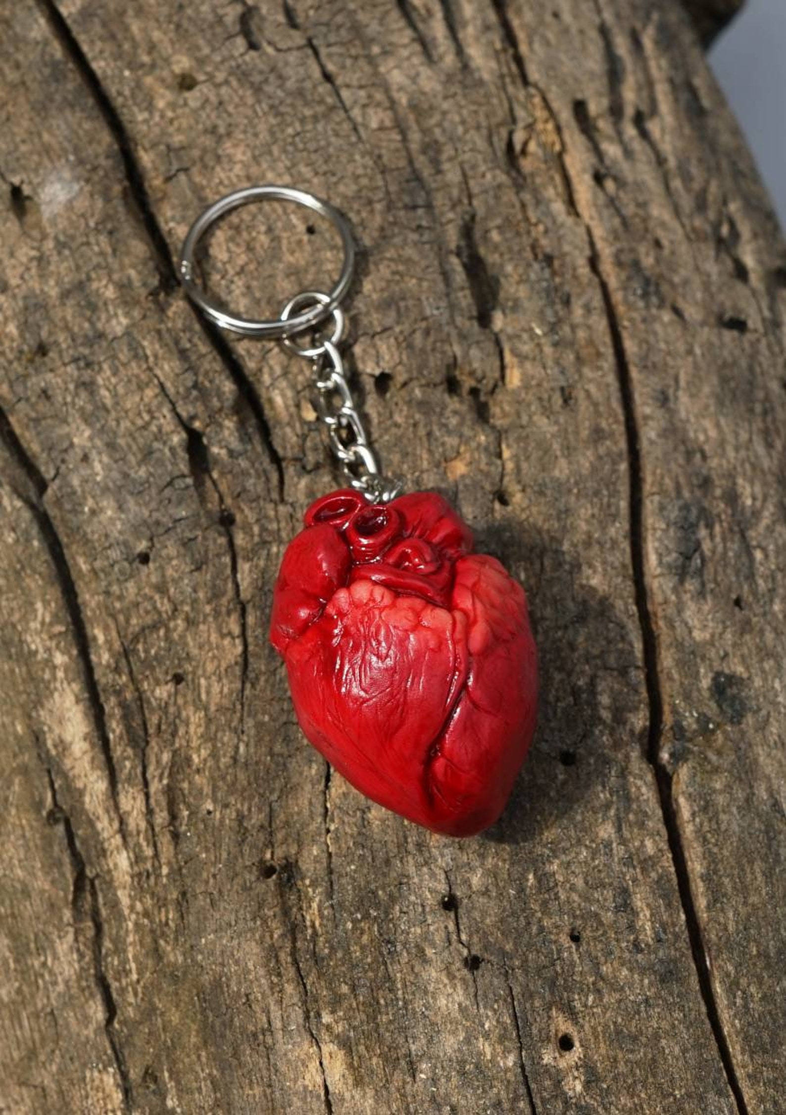 Anatomical Heart Keyring | Etsy
