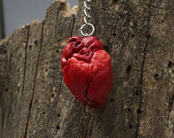 Anatomical Heart Keyring - Etsy