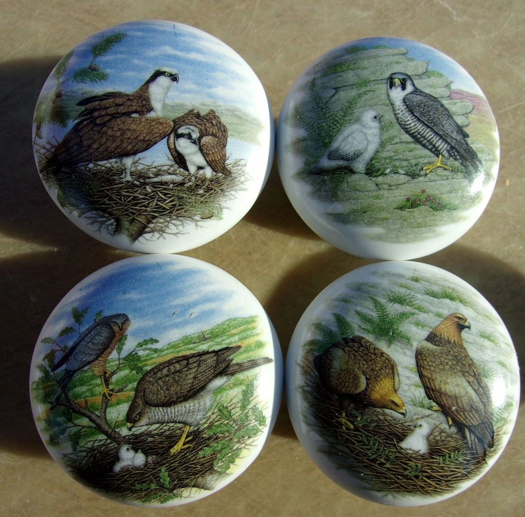 Birds of Prey Hawk Falcon Eagle (4)@pretty@ CABINET Knobs Drawer Pull ...