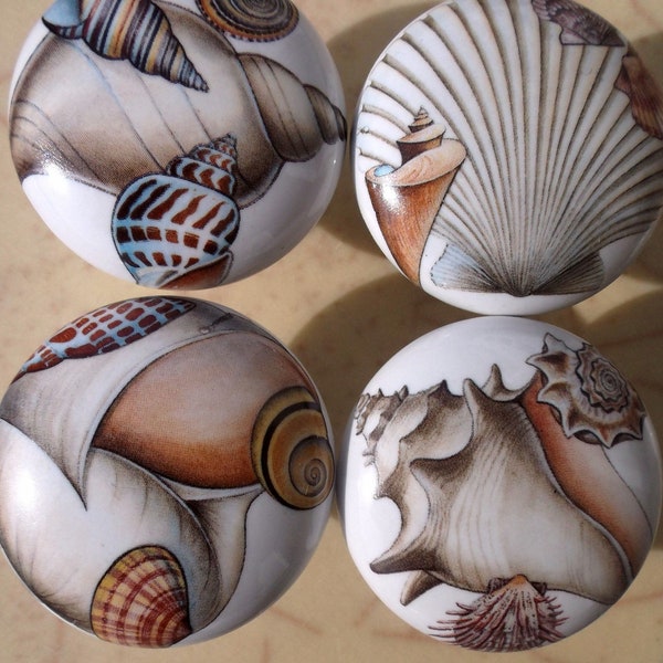 Seashell Knobs - Etsy