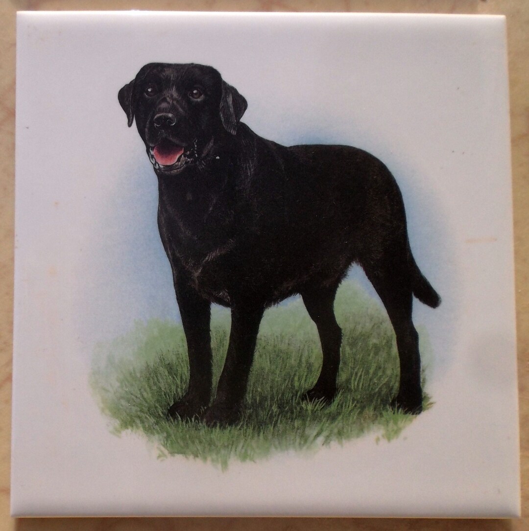 Black Labrador Tile Animal Accent Backsplash Serving Tray - Etsy